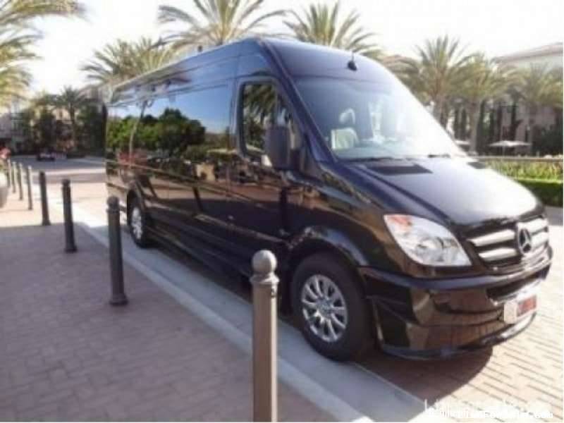 2013, Mercedes-Benz Sprinter, Mini Bus Limo